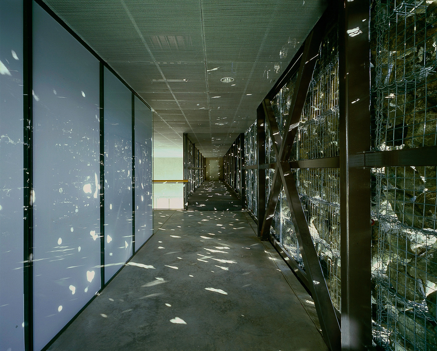 137 Dominus Winery – Herzog & de Meuron