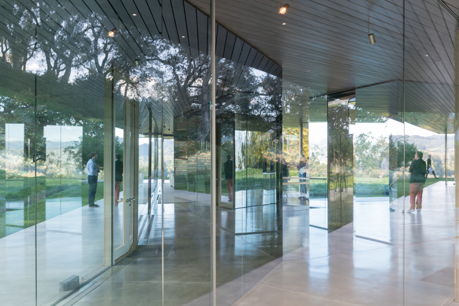 Johnny Lui – Herzog & de Meuron