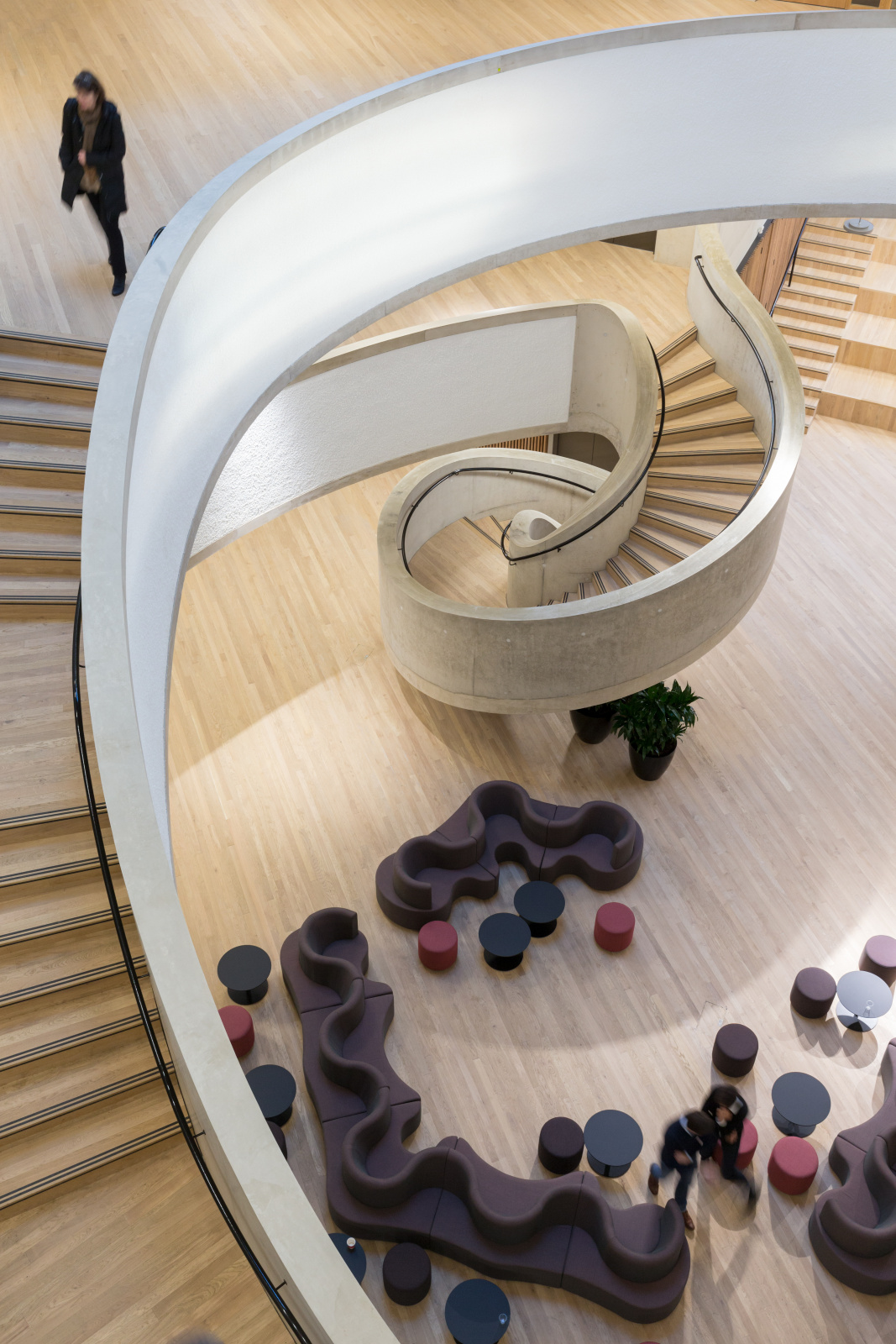 387 Blavatnik School of Government – Herzog & de Meuron